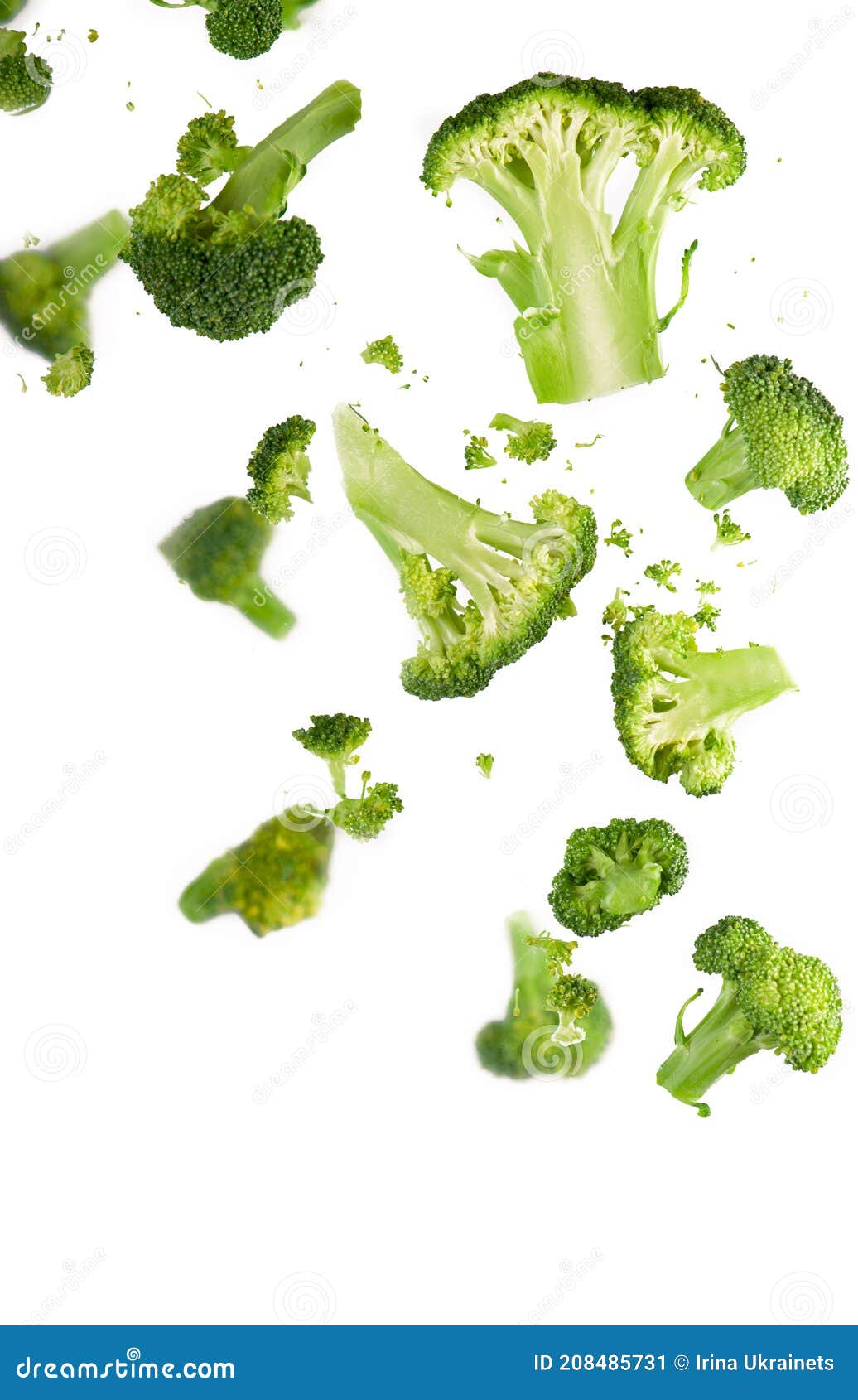 Broccoli Pattern Isolated on a White Background. Various Multiple Parts ...