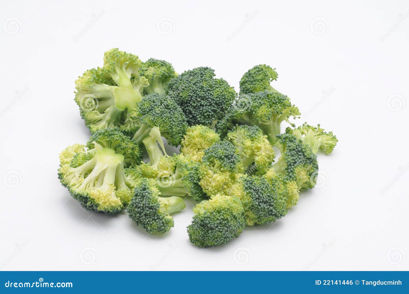 Broccoli pieces stock photo. Image of vegetable, agriculture - 22141446