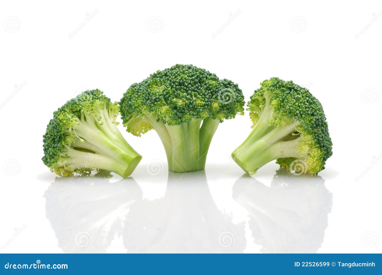 Broccoli pieces stock image. Image of food, nature, close - 22526599