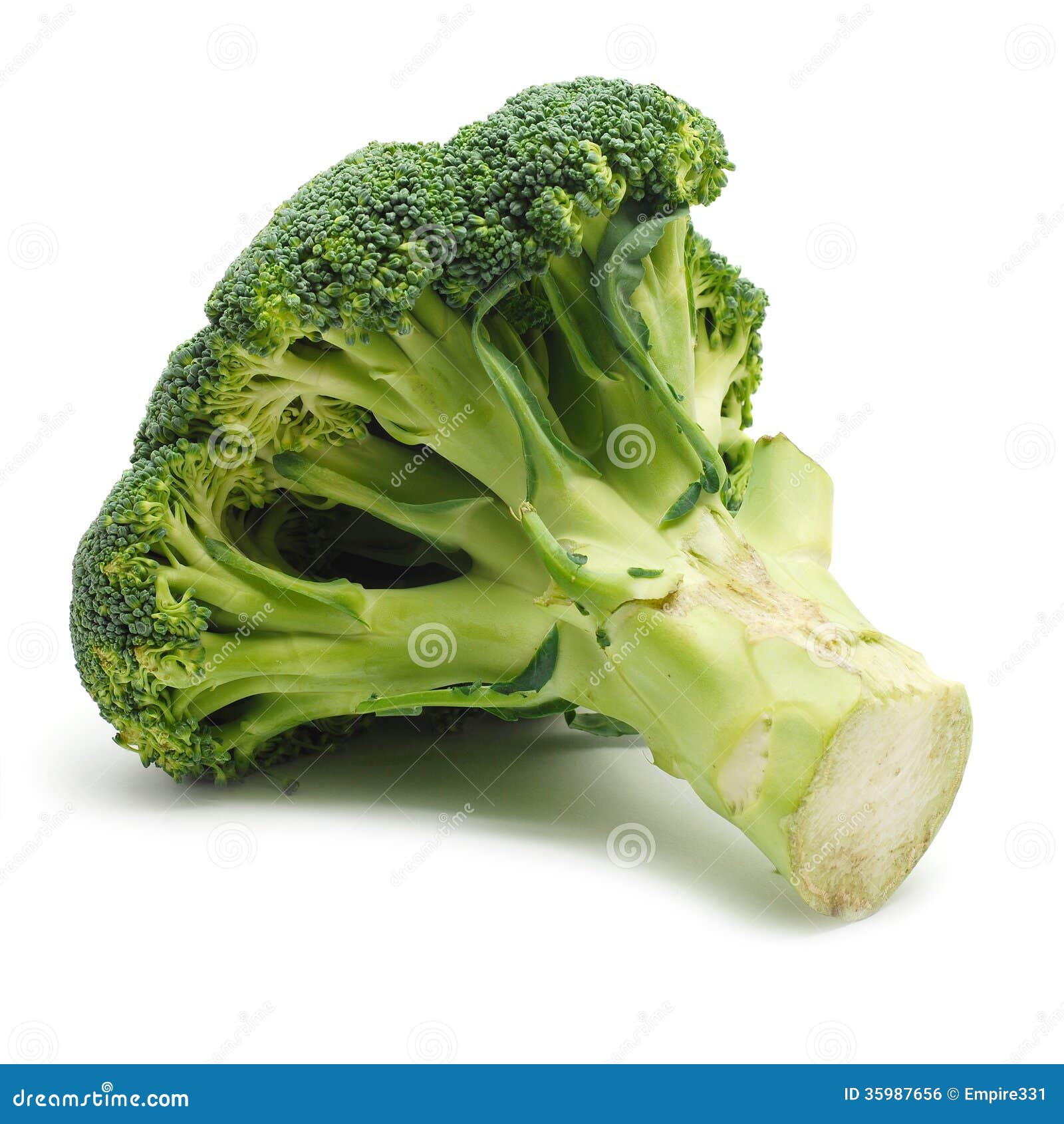 Broccoli stock photo. Image of vegetable, white, flower - 35987656