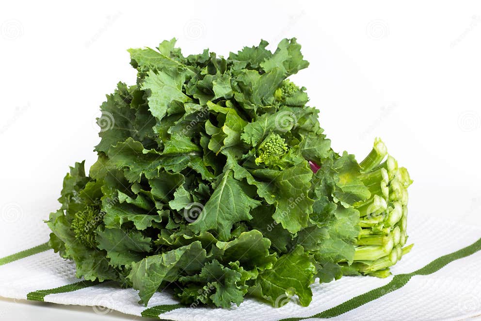 Broccoli Rabe stock image. Image of leaf, broccoli, leafy - 23489945