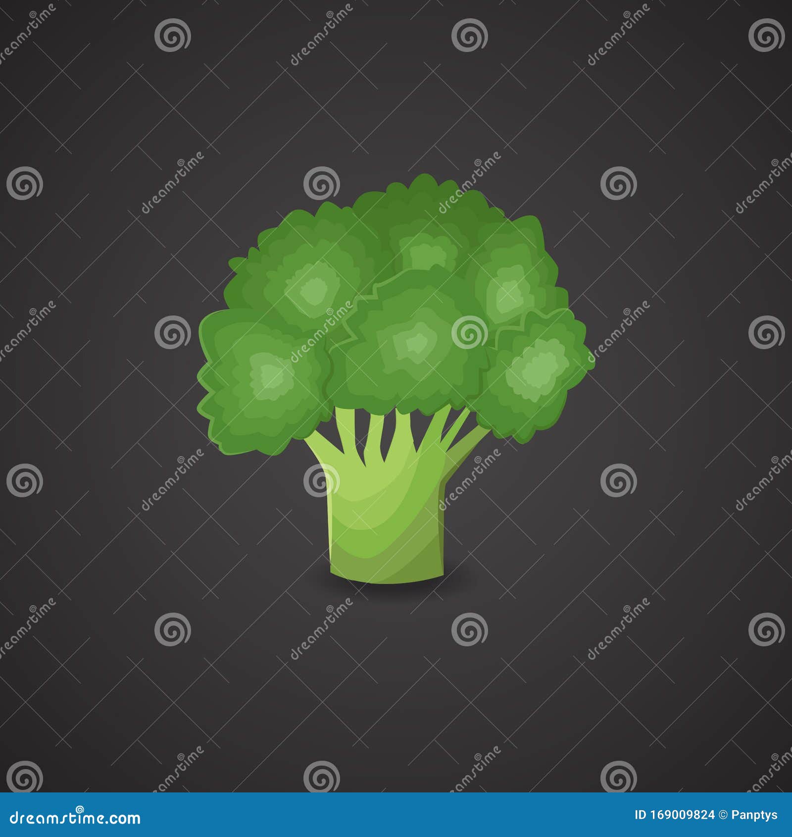 Broccoli Vector Icon. Realistic Vegetable. Stock Vector - Illustration ...