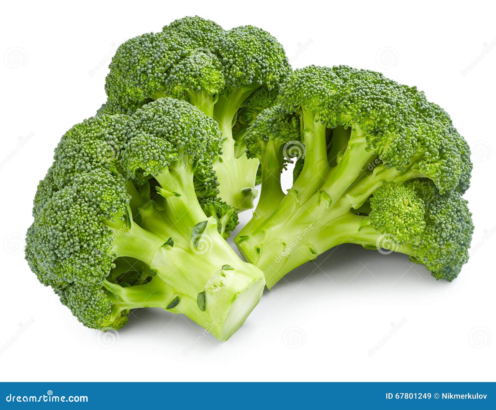 Broccoli stock image. Image of cooking, botany, object - 67801249