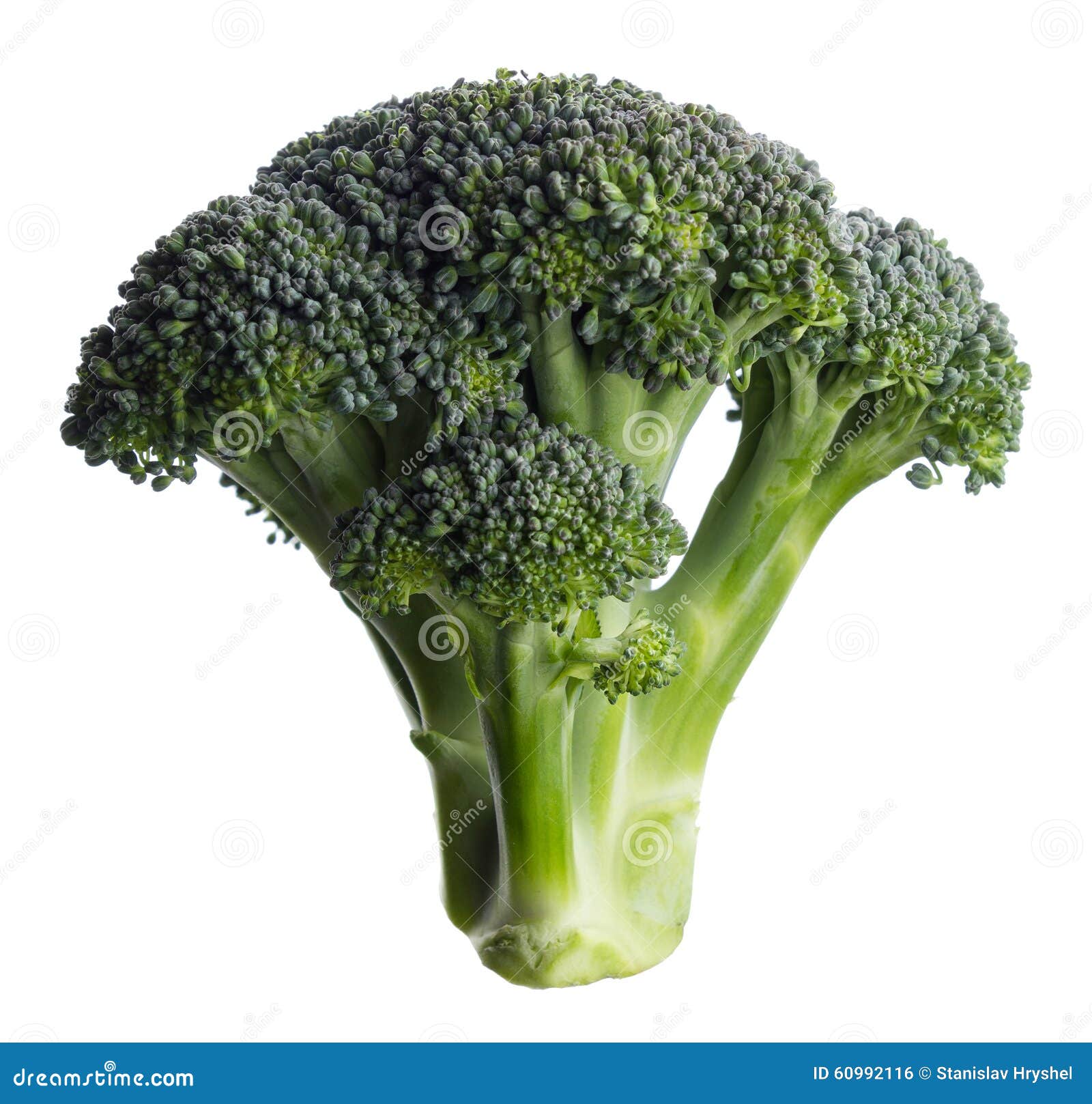 Broccoli stock photo. Image of full, fruits, color, front - 60992116