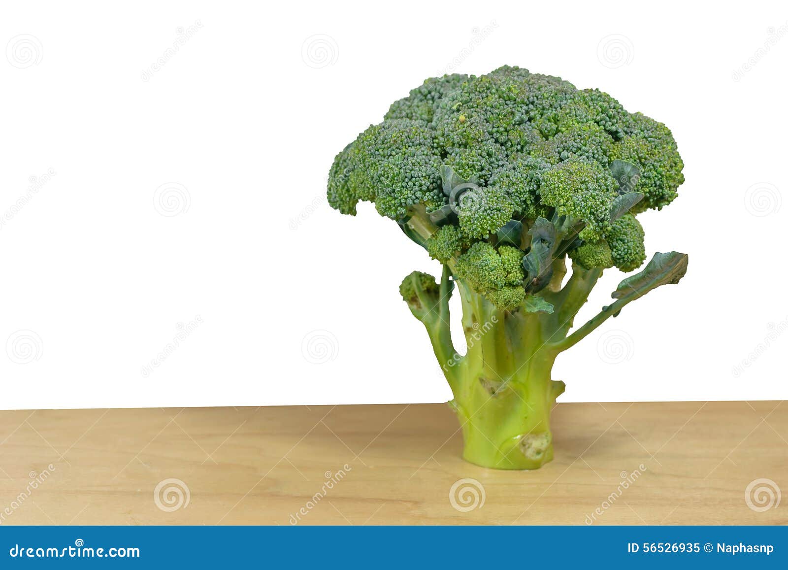 Broccoli from Side View and White Background Stock Image - Image of ...