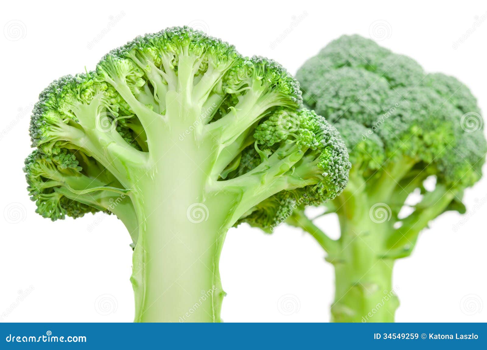 Broccoli slice isolated stock image. Image of healthy - 34549259