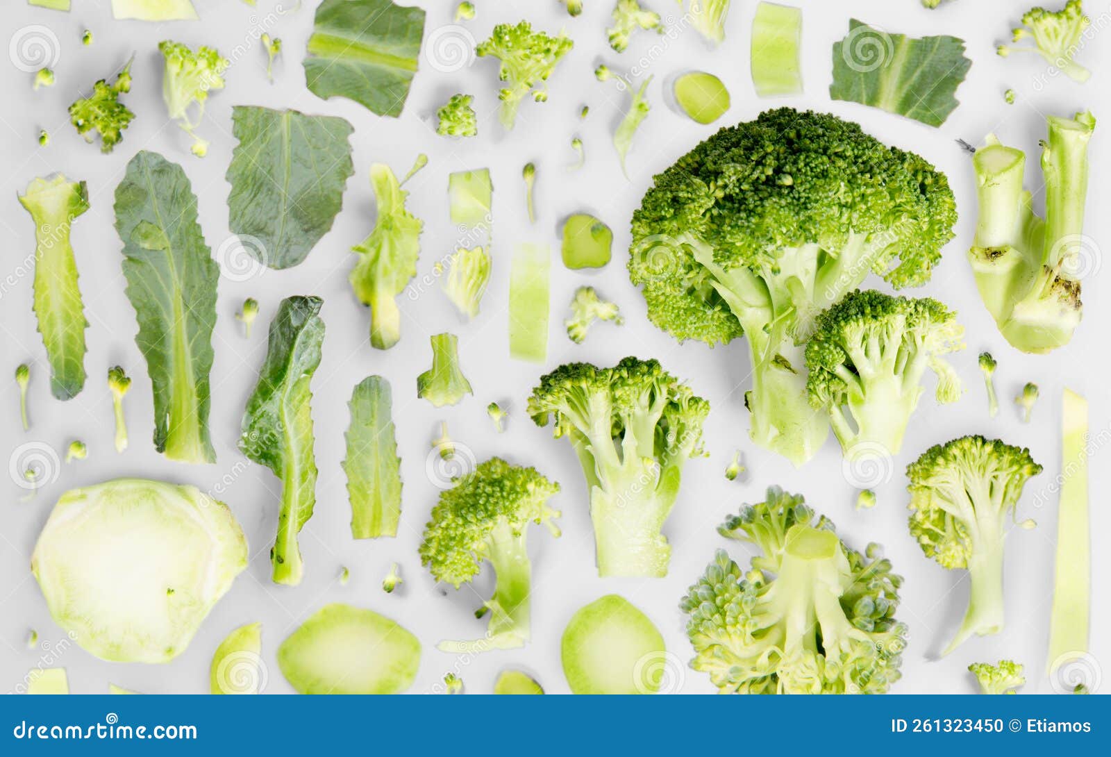 Broccoli Slice and Leaf Collection Stock Photo - Image of ingredient ...