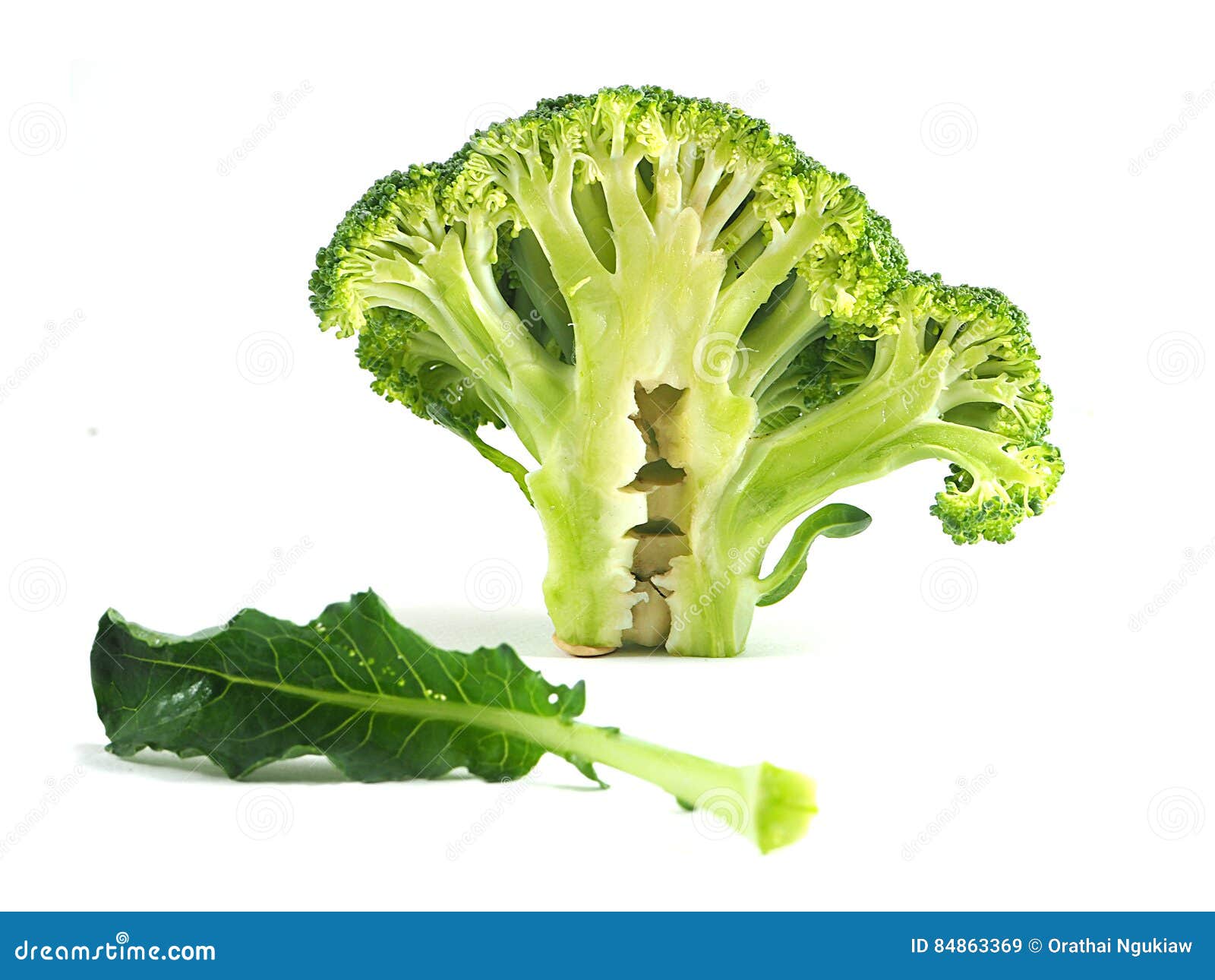 Broccoli Slice on White Background Stock Image - Image of diet ...