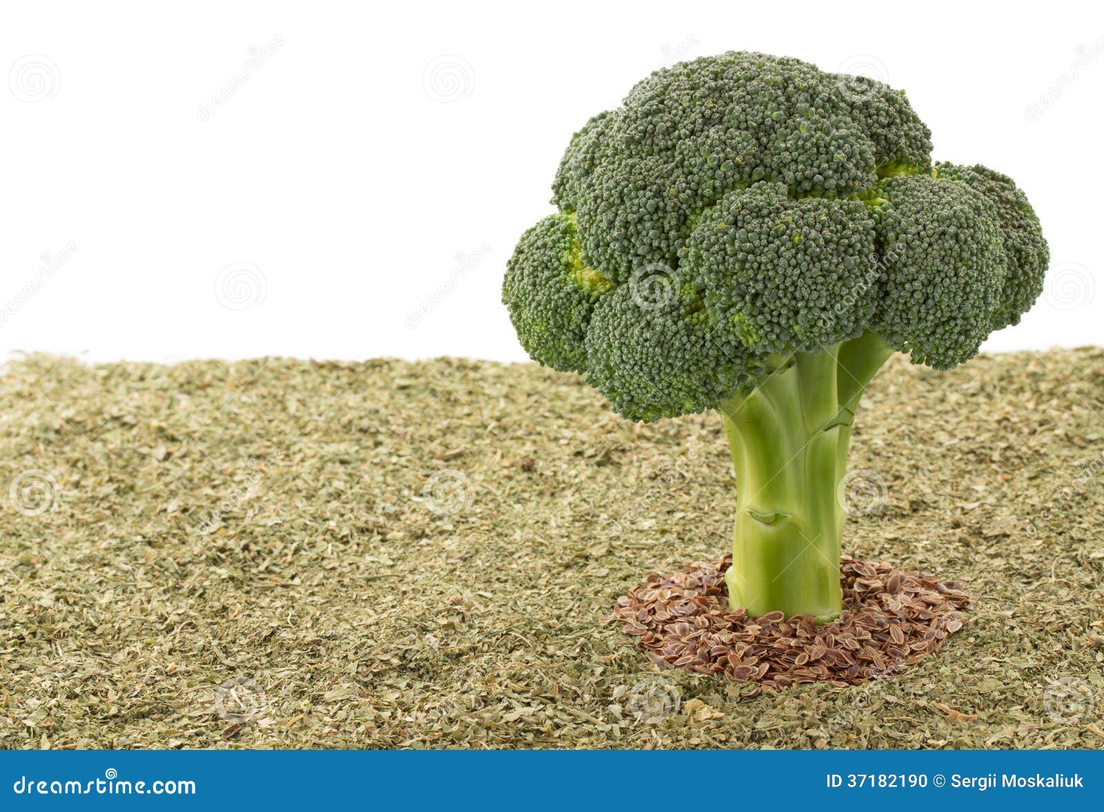 Broccoli and Spices on White Stock Photo - Image of natural, cookbook ...