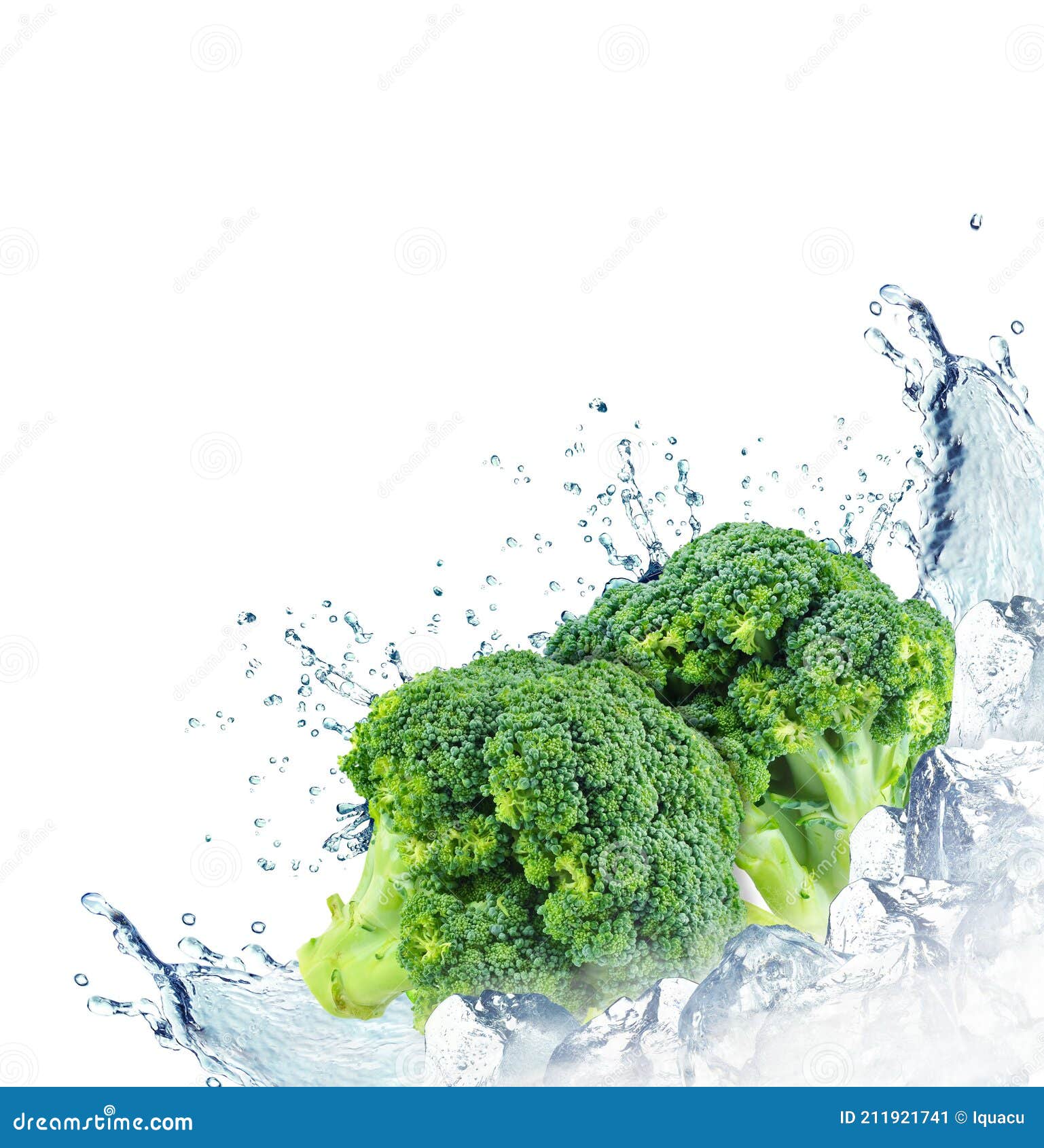 Broccoli splash stock image. Image of healthy, food - 211921741