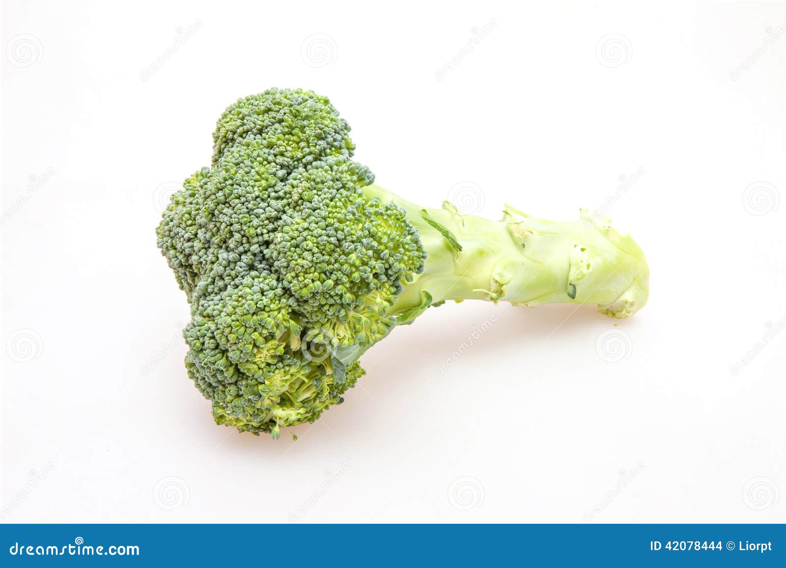 Broccoli stem stock photo. Image of brocoli, snack, vegetarian - 42078444