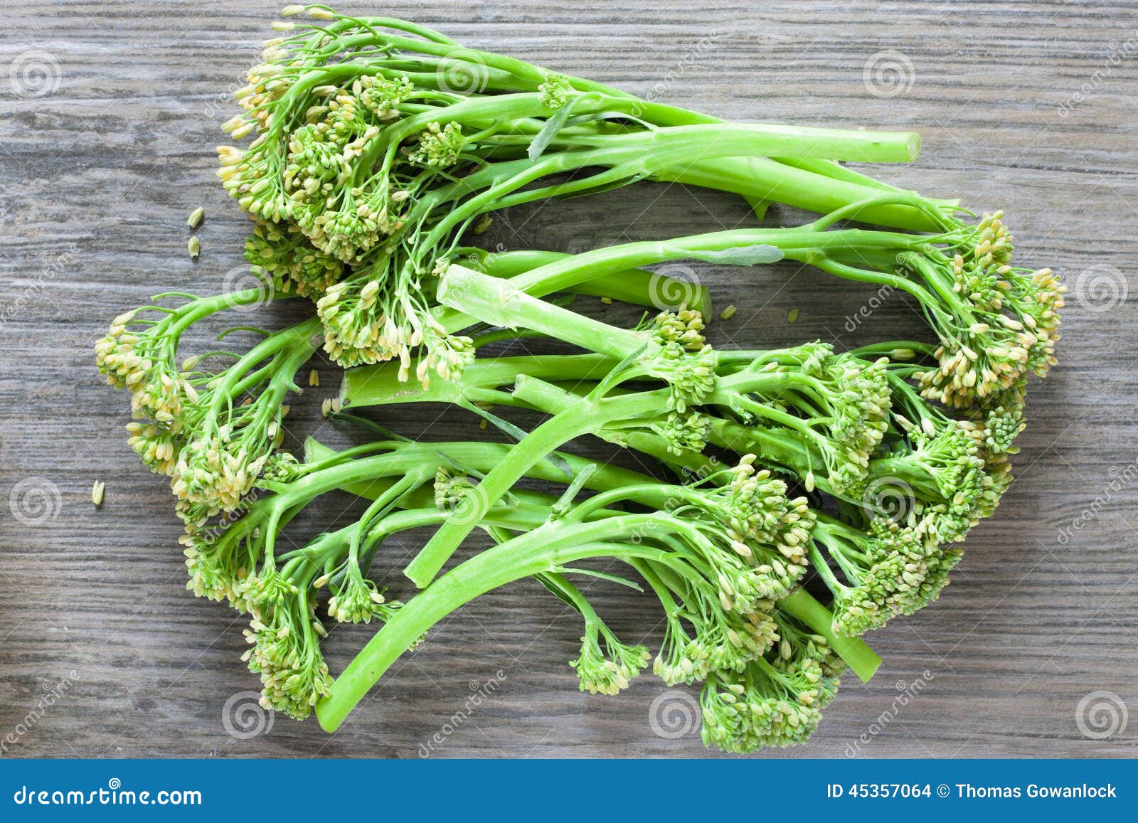 Broccoli stems stock photo. Image of food, broccolini - 45357064