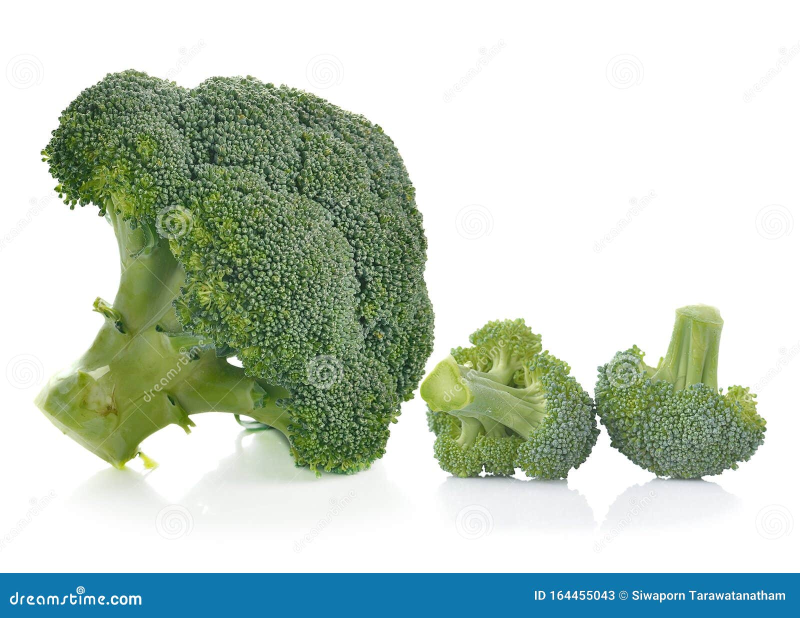 Broccoli Still Life on a White Background Stock Image - Image of eating ...