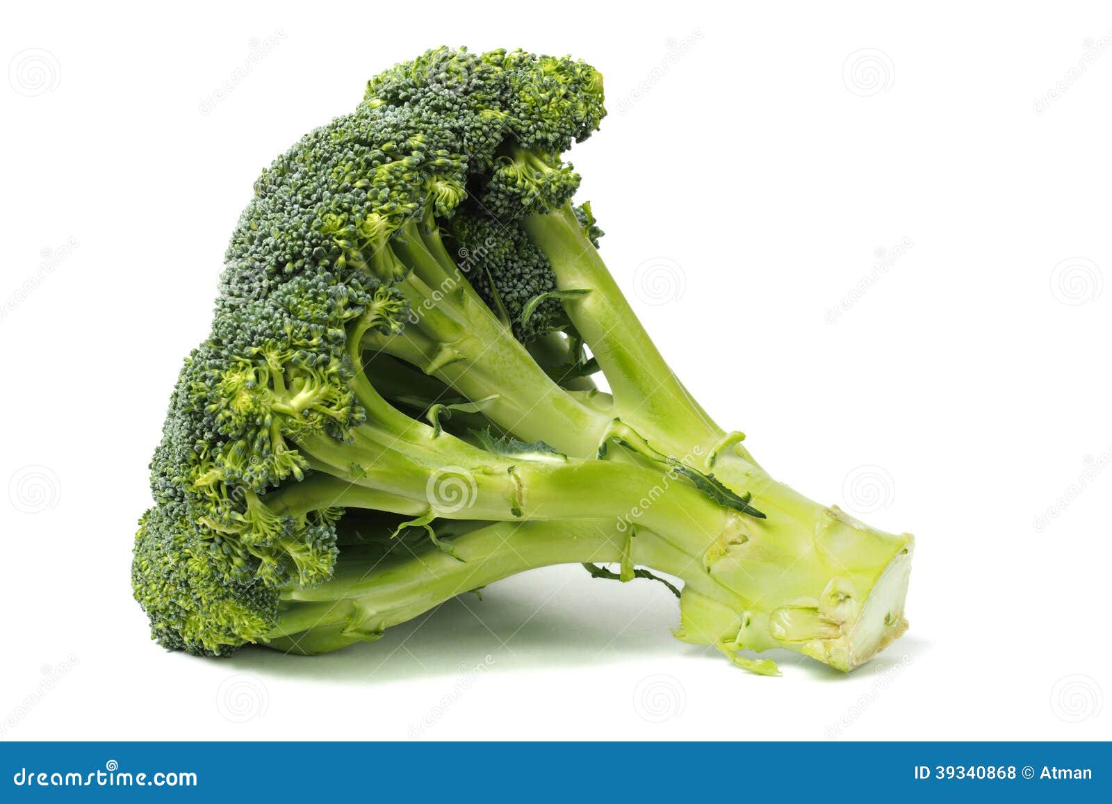 Broccoli su bianco fotografia stock. Immagine di broccolo - 39340868