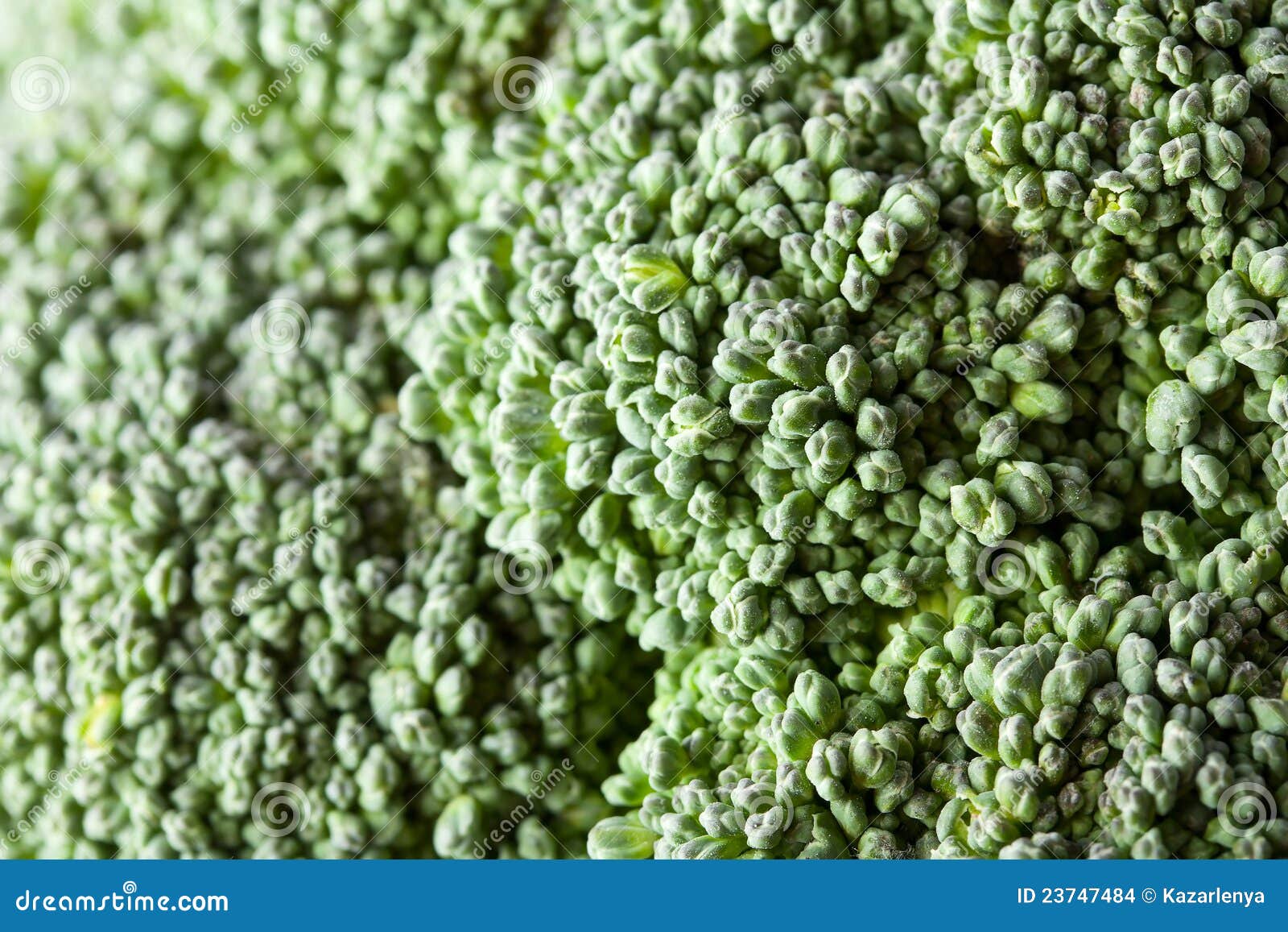 Broccoli texture stock photo. Image of ingredient, agriculture - 23747484