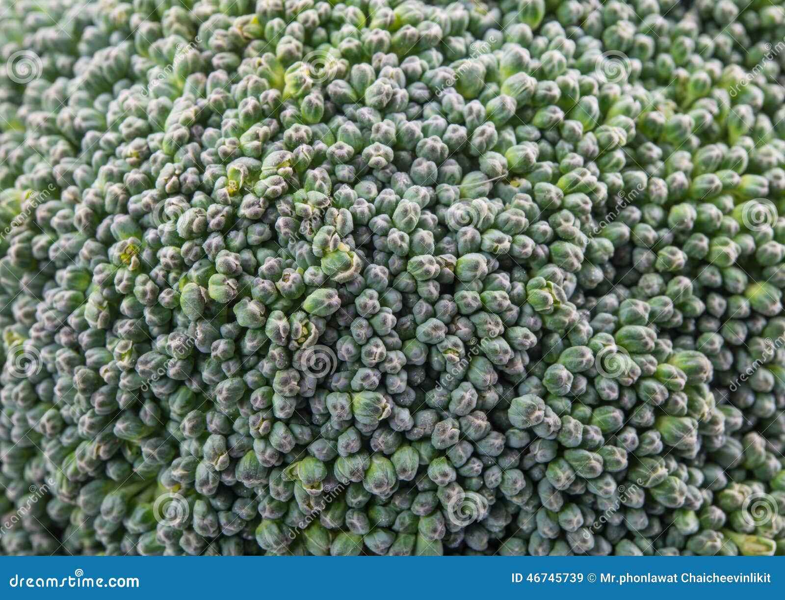 Broccoli texture stock image. Image of details, green - 46745739