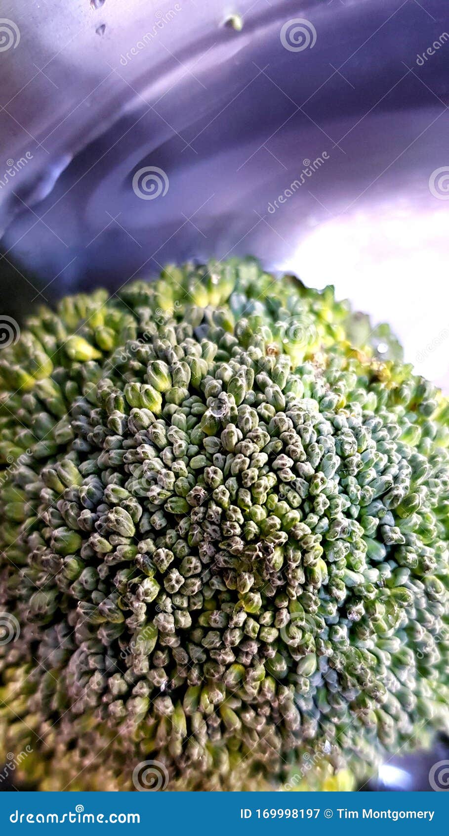 Broccoli Top in Water Stainless Steel Pan Stock Image - Image of ...