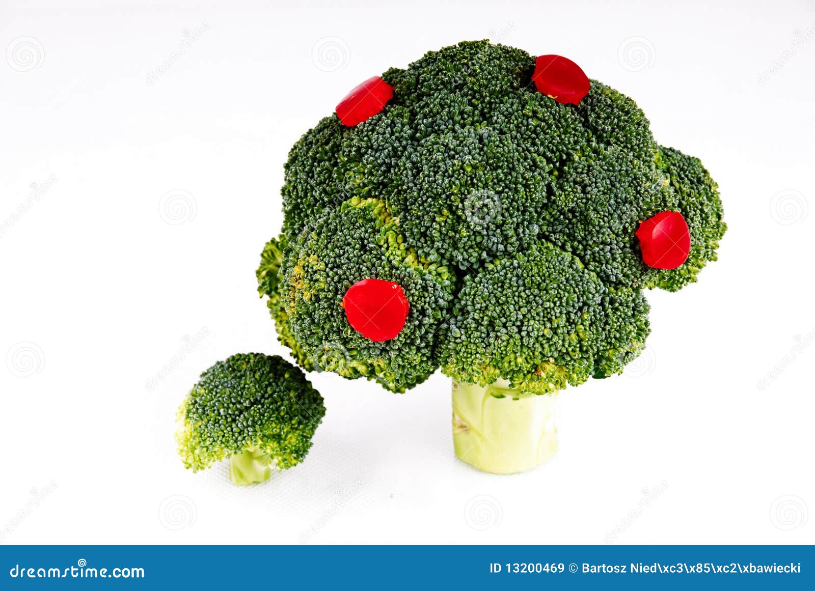 Broccoli tree stock image. Image of culinary, delicious - 13200469