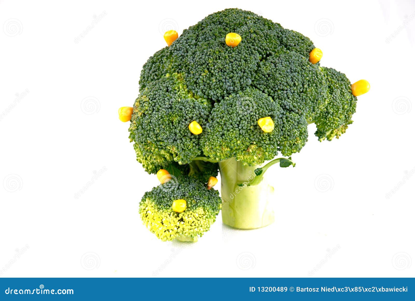Broccoli tree stock image. Image of macro, agriculture - 13200489