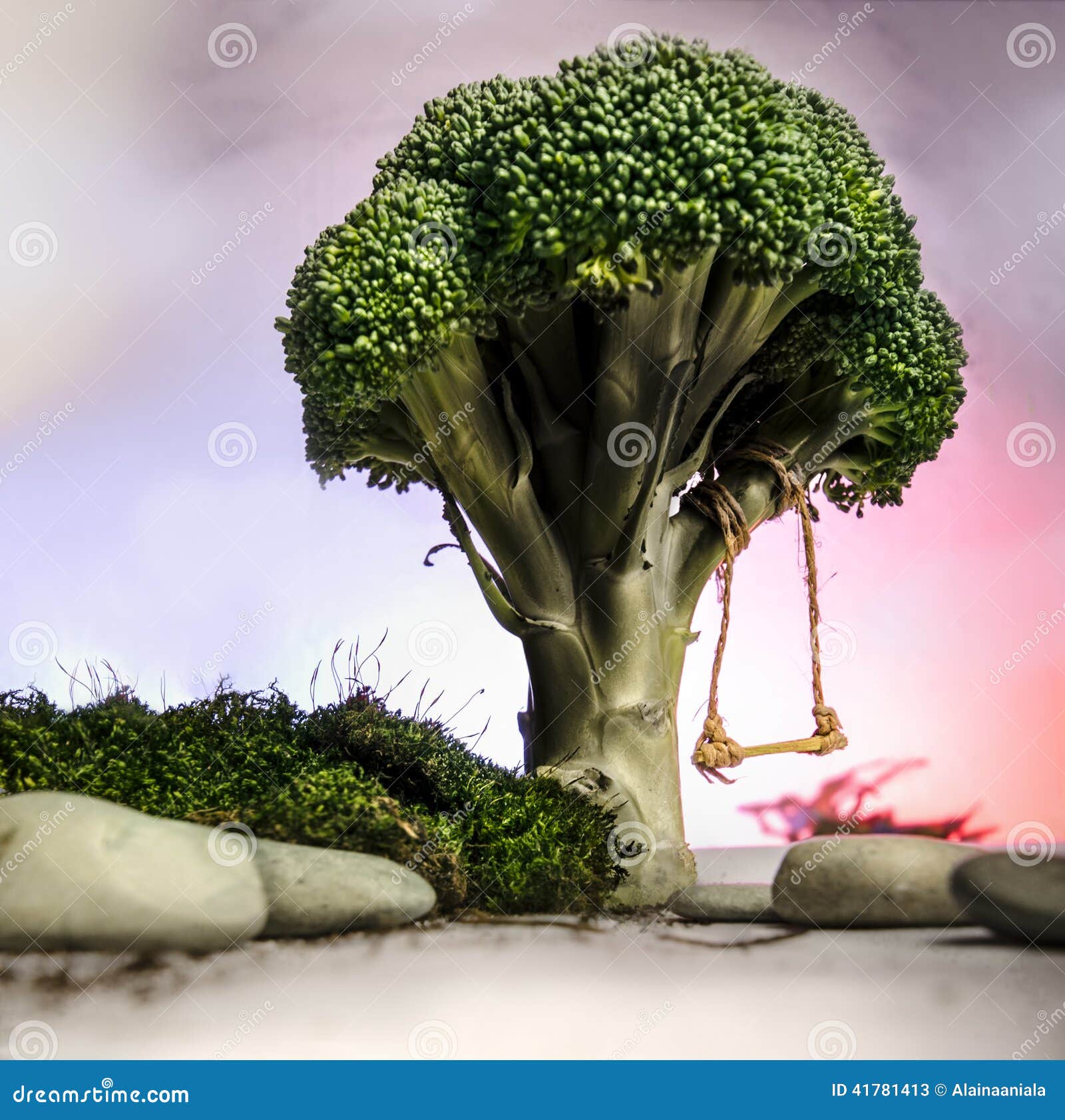 Broccoli Tree Swing stock image. Image of vegetable, shrink - 41781413 Broccoli Tree Swing stock image. Image of vegetable, shrink - 41781413