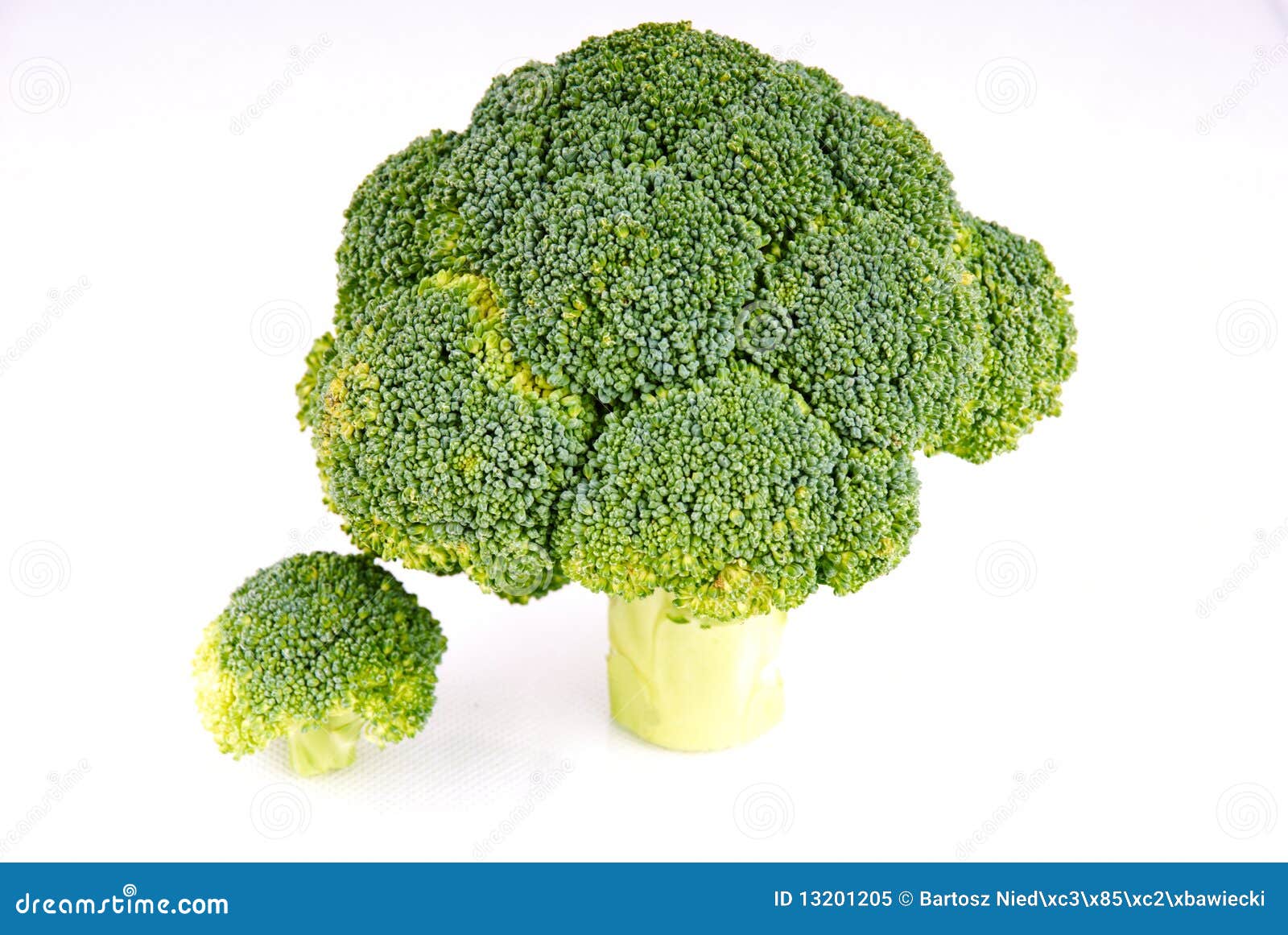 Broccoli trees stock image. Image of green, cook, diet - 13201205