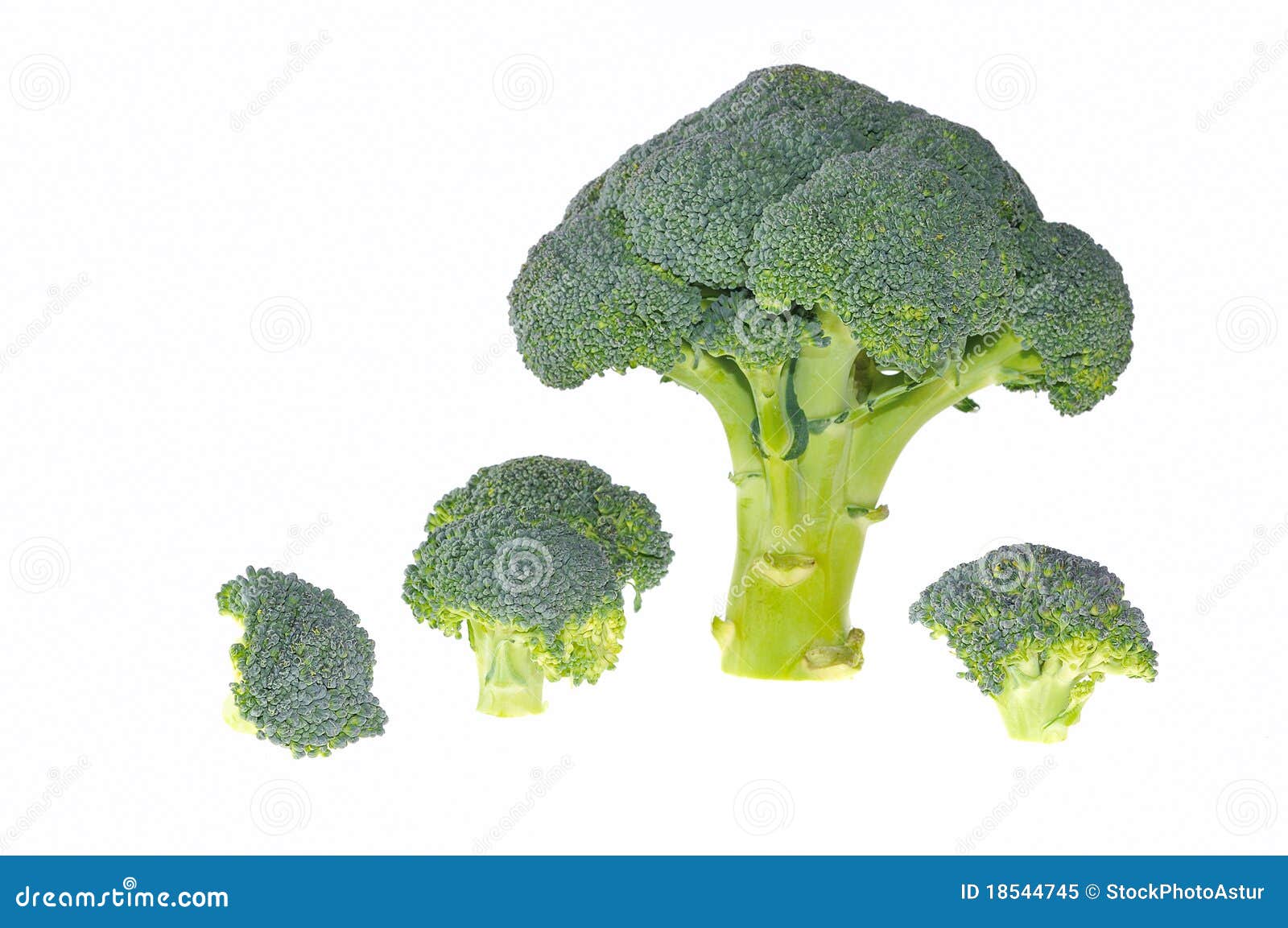 Broccoli trees. stock image. Image of food, vegetables - 18544745