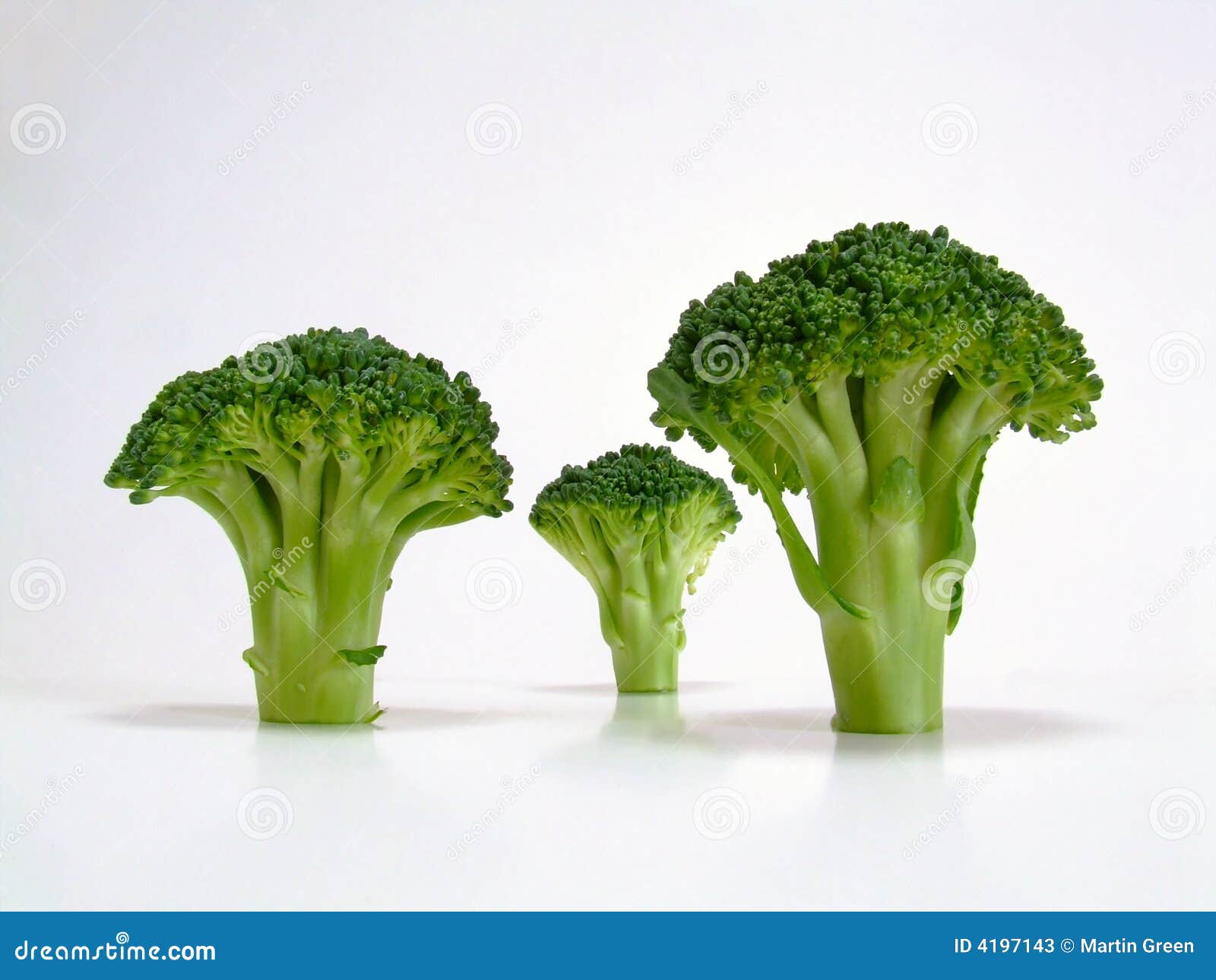 Broccoli Trees stock image. Image of diet, green, broccoli - 4197143