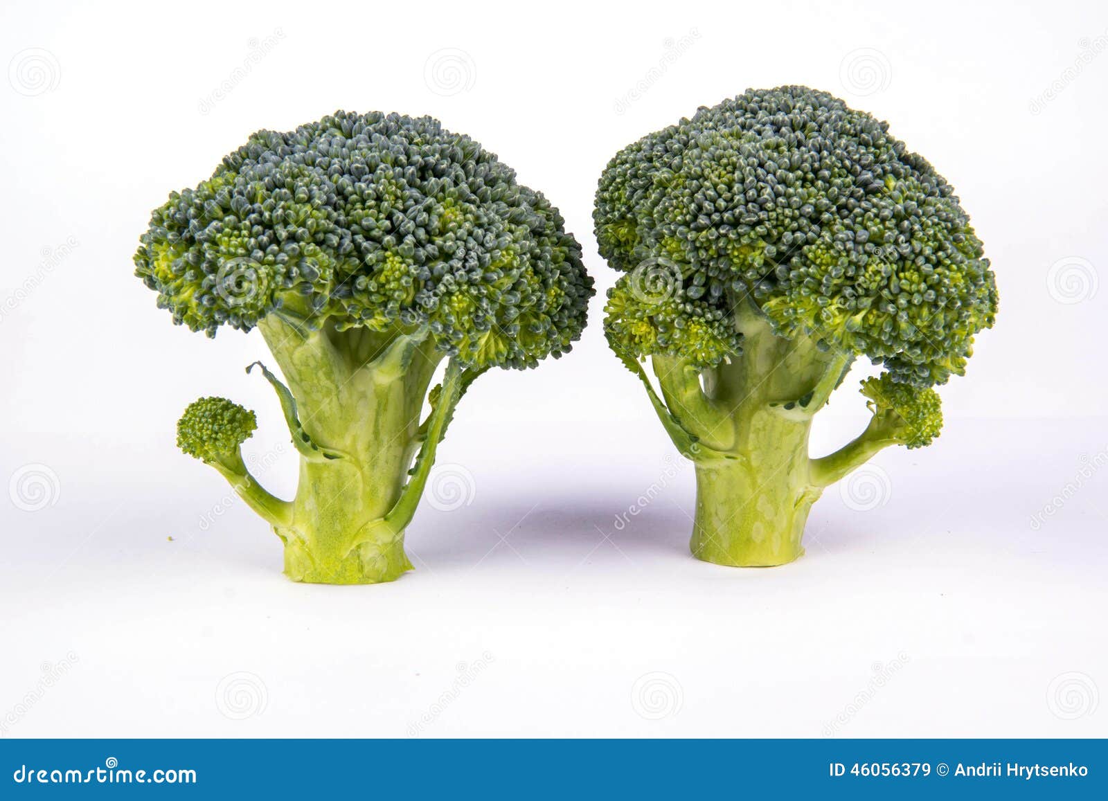 Broccoli stock image. Image of food, objects, healthy - 46056379