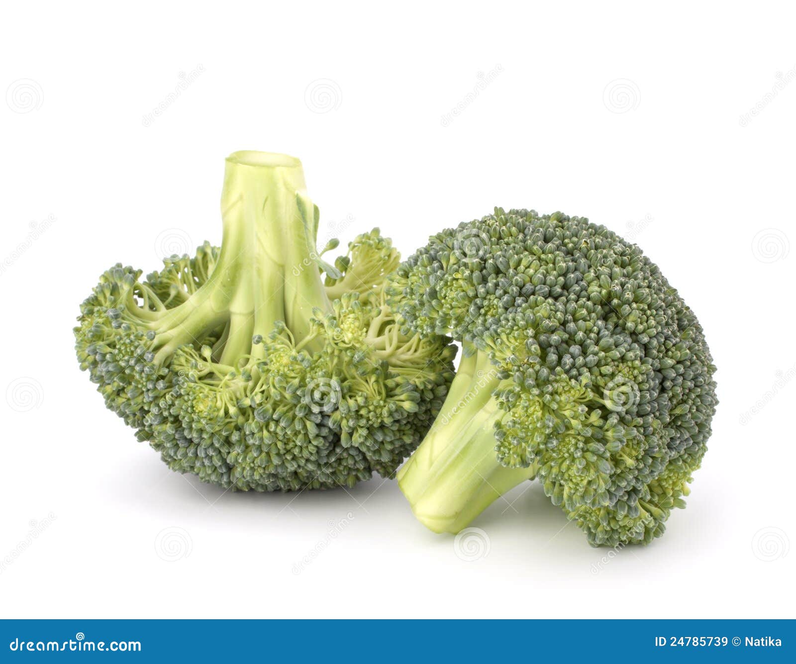 Broccoli Vegetable Like A Tree, Broccoli Forests On The White ...