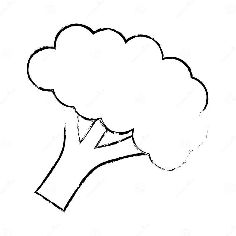 Broccoli vegetable icon stock illustration. Illustration of nutrition ...