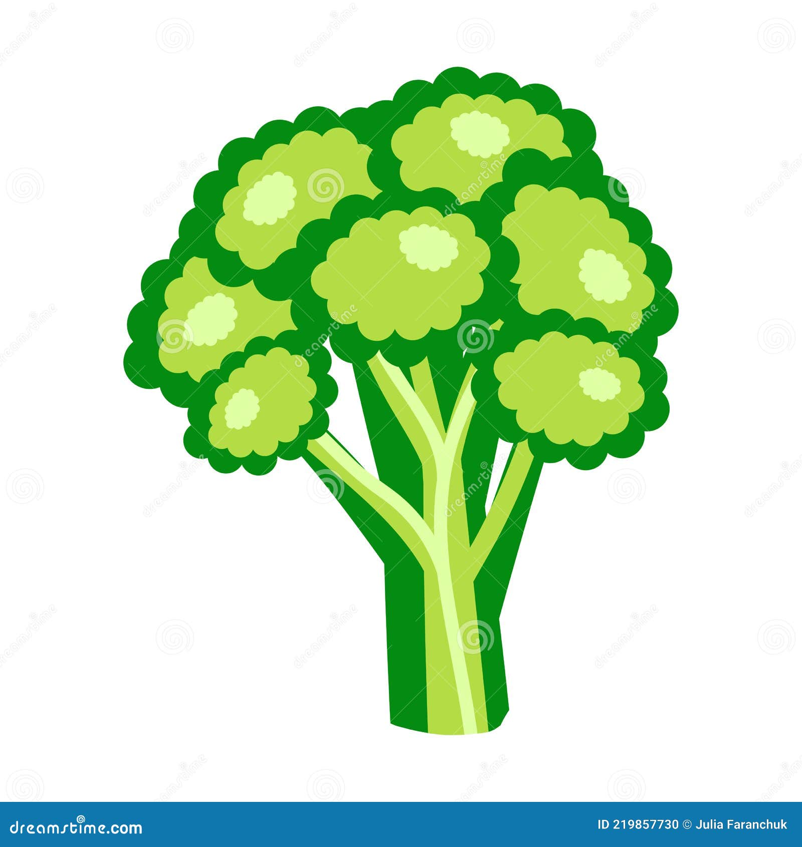 Broccoli Vegetables Whole Food Vector Illustration Stock Vector ...