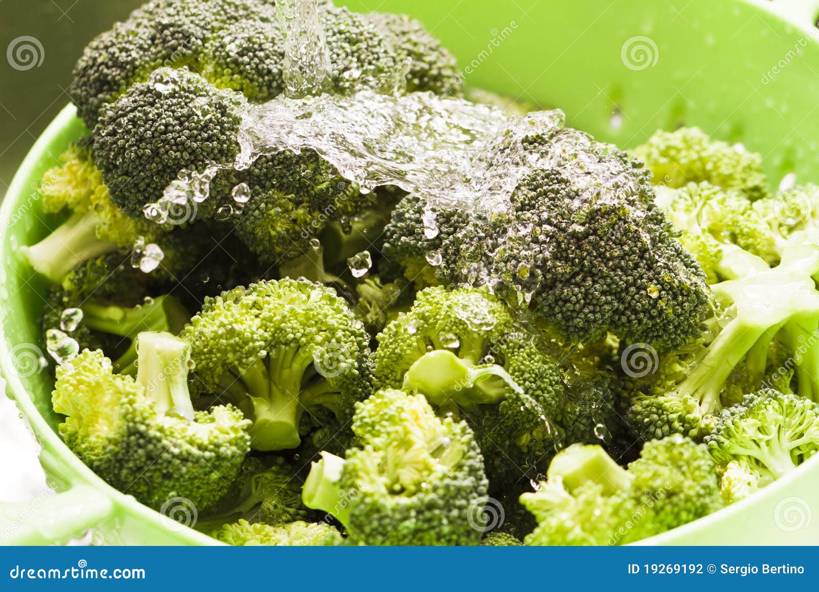 Broccoli washing in water stock photo. Image of ingredients - 19269192