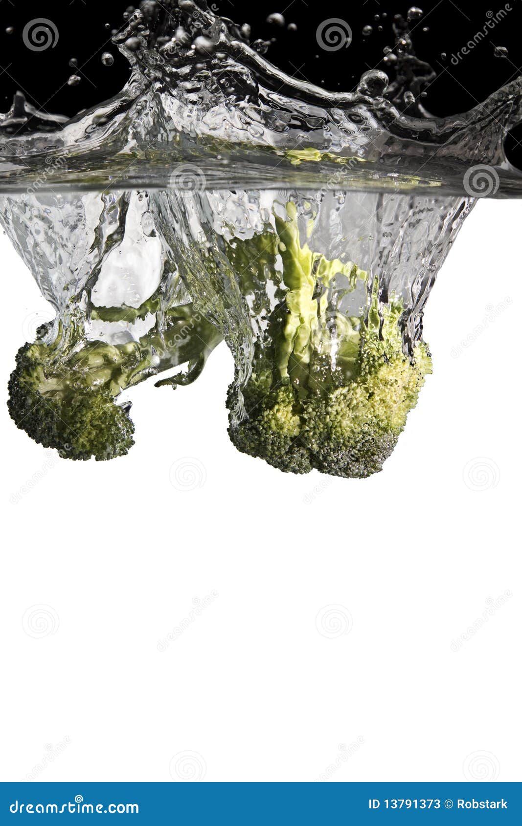 Broccoli in water stock image. Image of brocoli, brocholi - 13791373