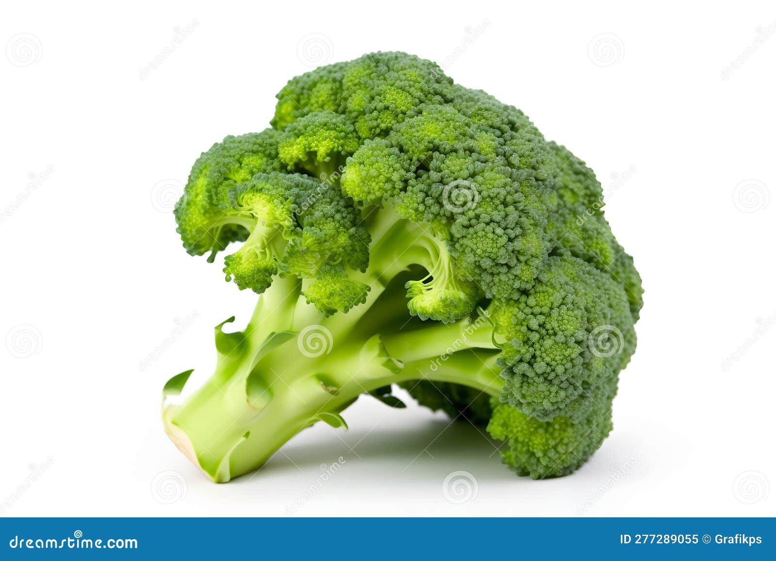 Broccoli, Which Stands Out with Its Bright Green Color and ...