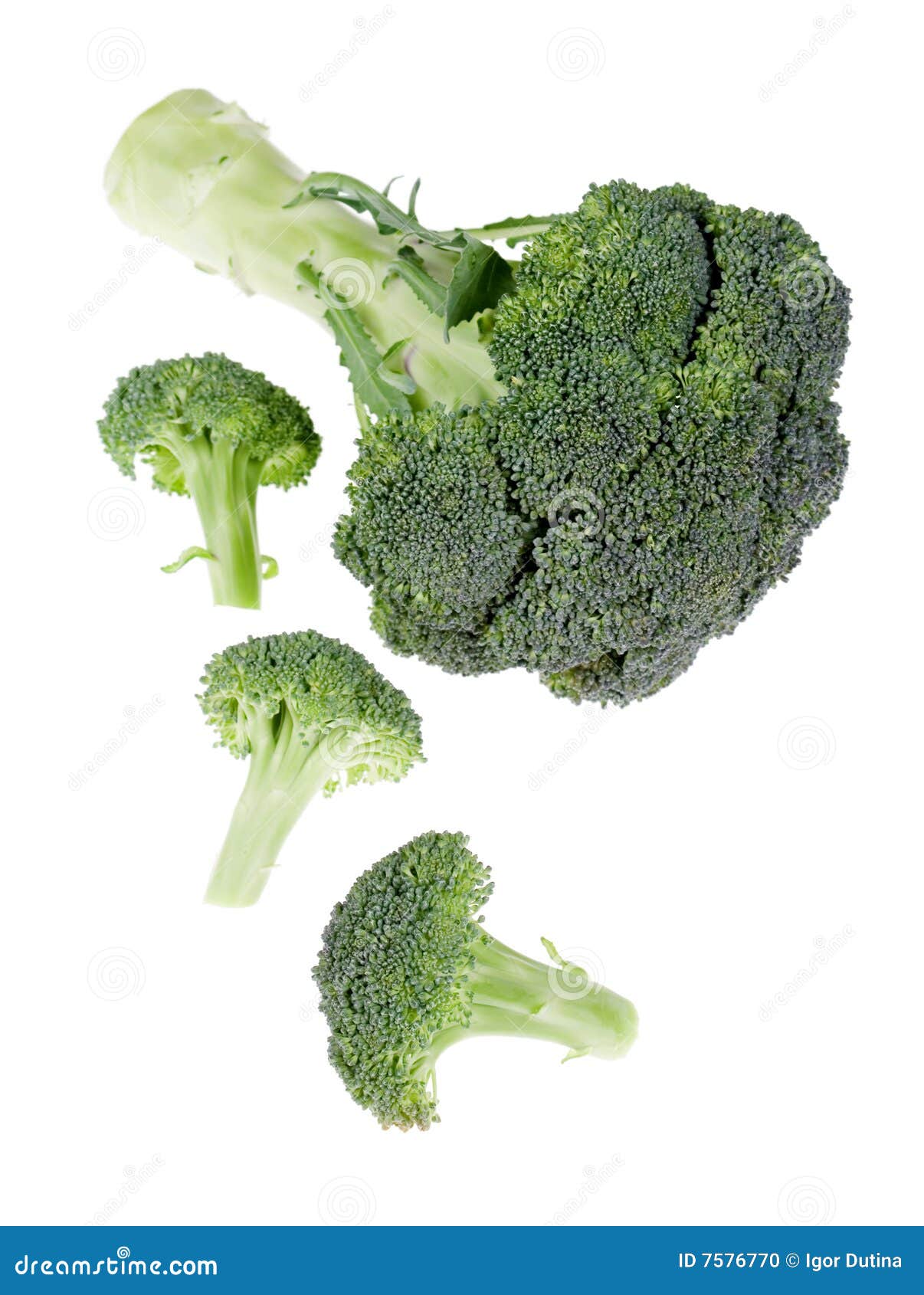 Broccoli on white stock photo. Image of vertical, vegan - 7576770