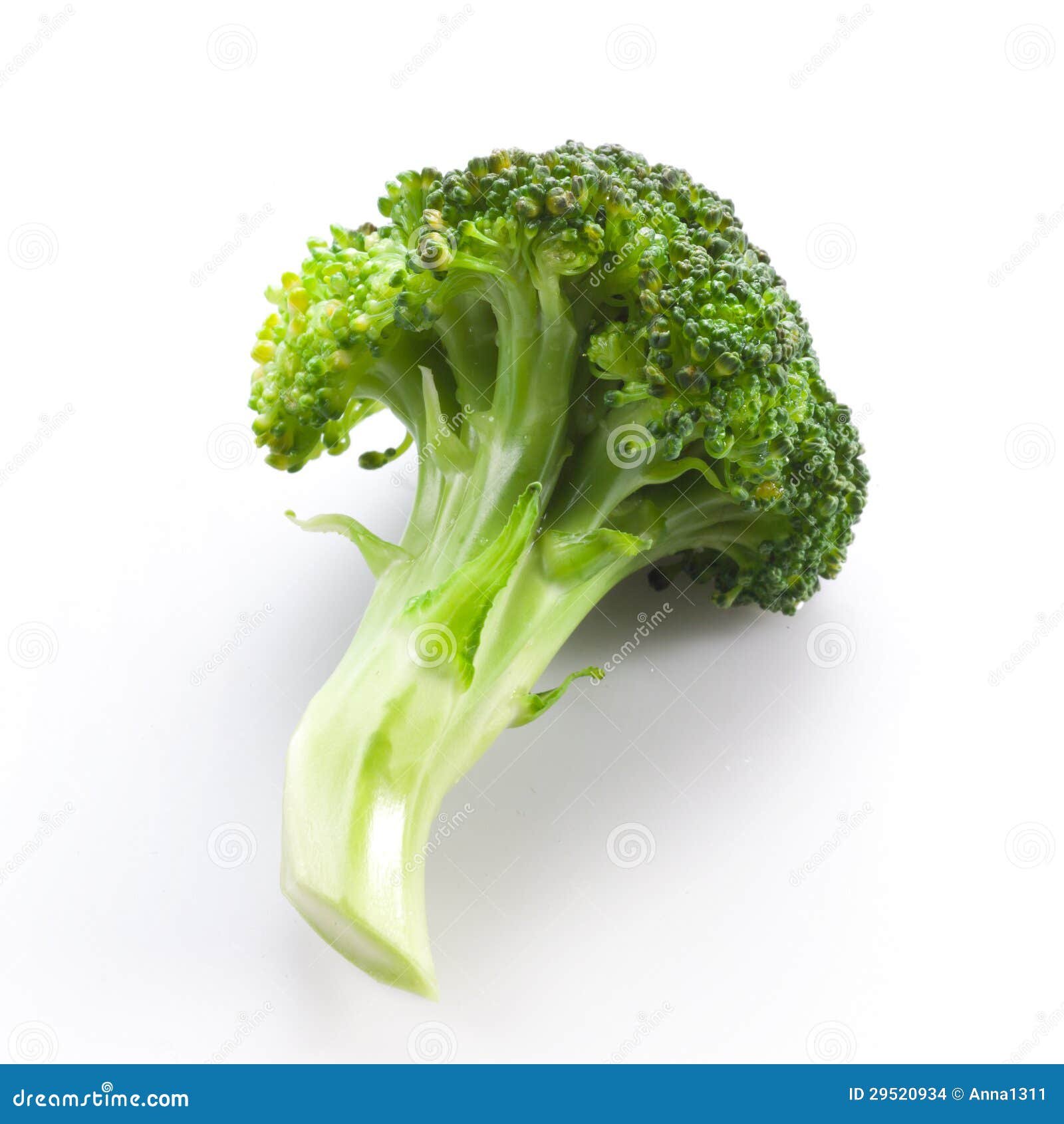 Broccoli on a White Background Stock Photo - Image of nutrition, ripe ...