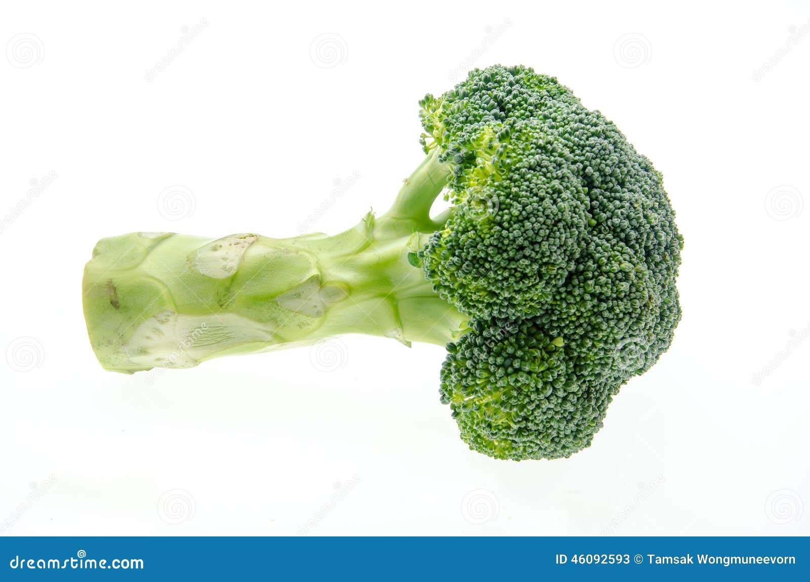 Broccoli on a White Background Stock Image - Image of organic, food ...