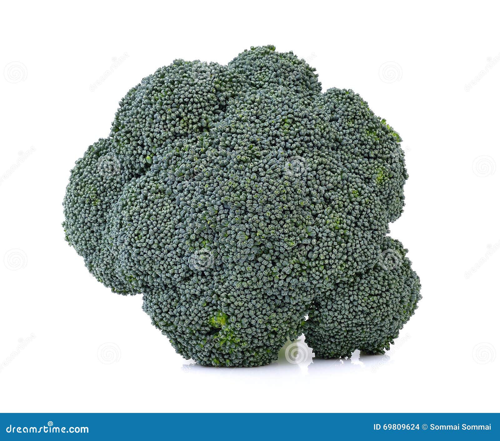 Broccoli on White Background Stock Photo - Image of freshness, broccoli ...
