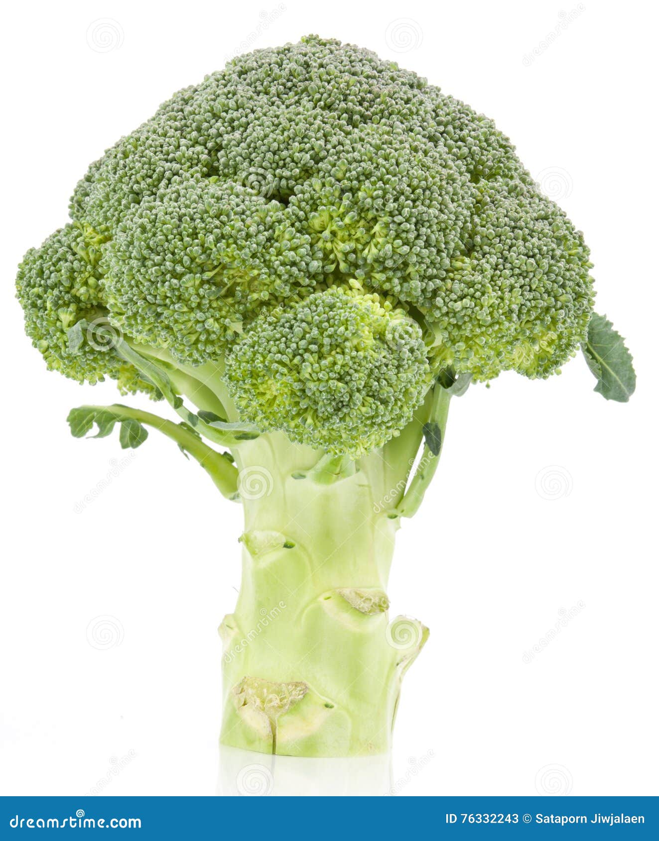 Broccoli on white stock image. Image of broccoli, green - 76332243