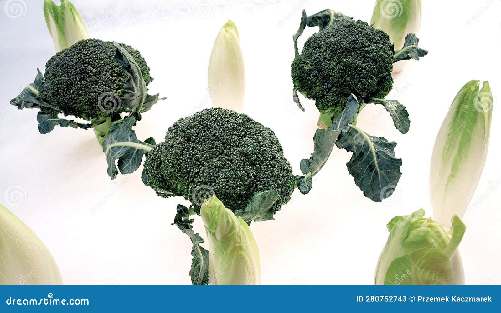 Broccoli on White Background. Stock Image - Image of vegetarian ...