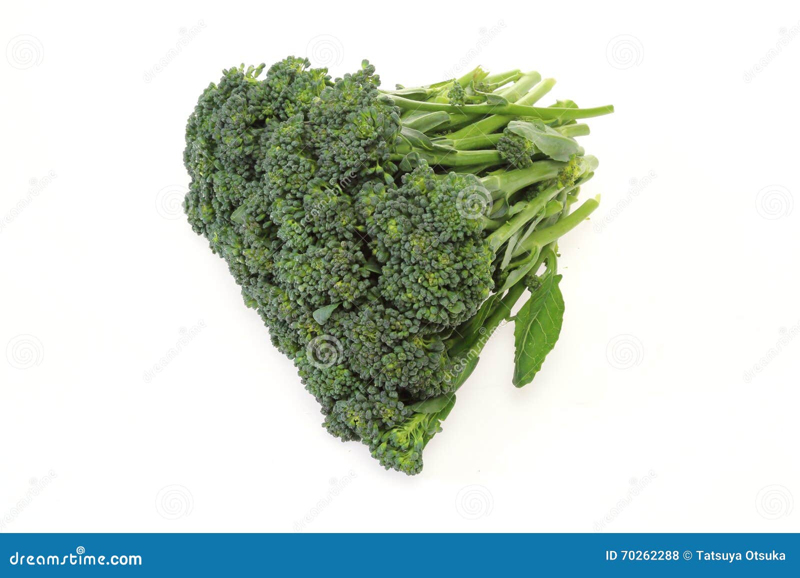 Broccoli in a White Background Stock Photo - Image of vitamin, organic ...
