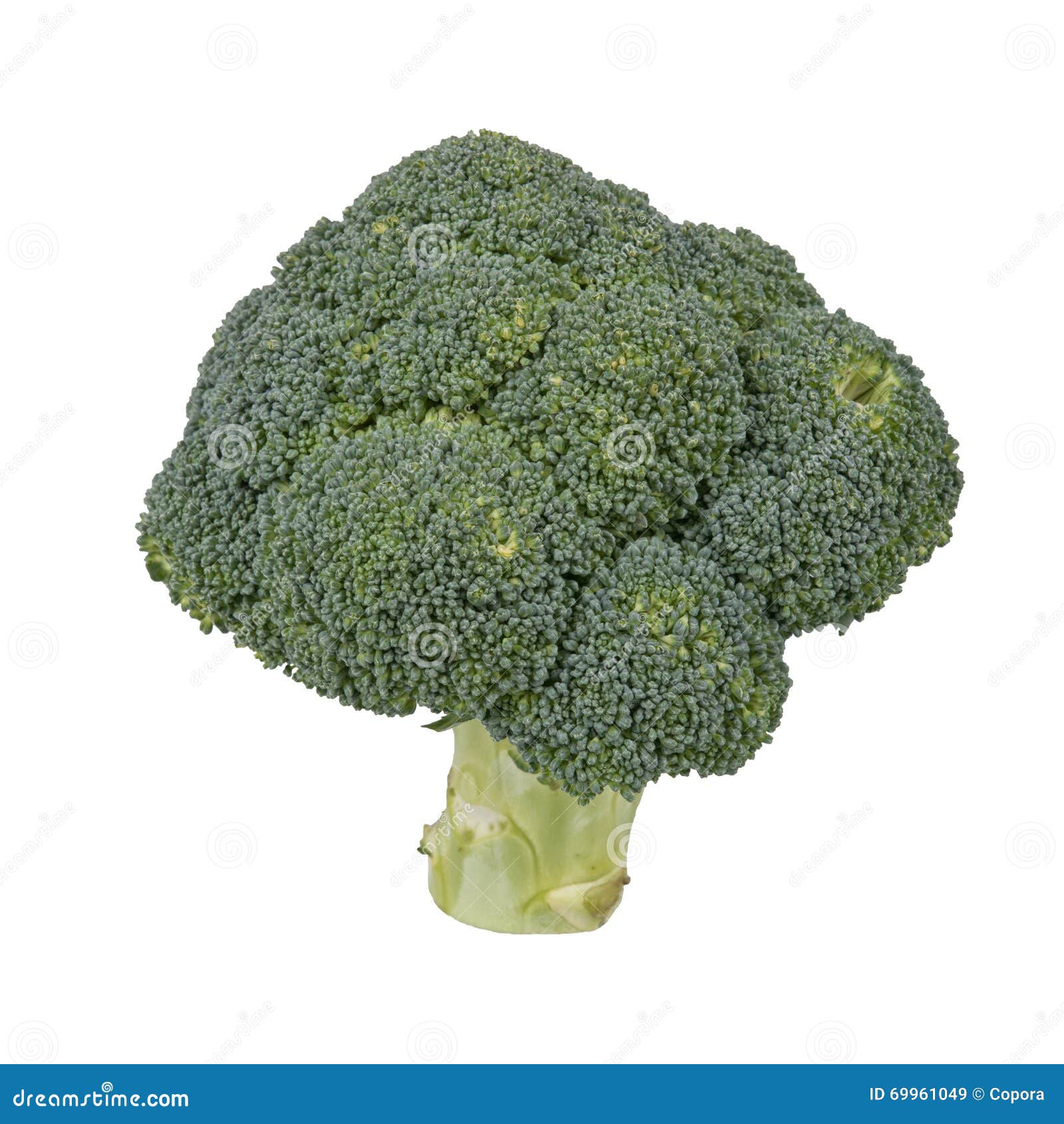 Broccoli on a White Background Stock Image - Image of broccoli, white ...
