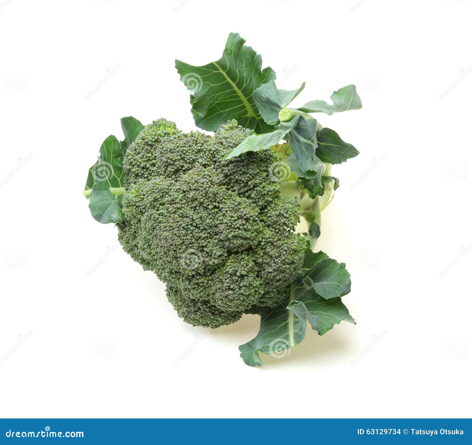 Broccoli in a White Background Stock Photo - Image of white, salad ...