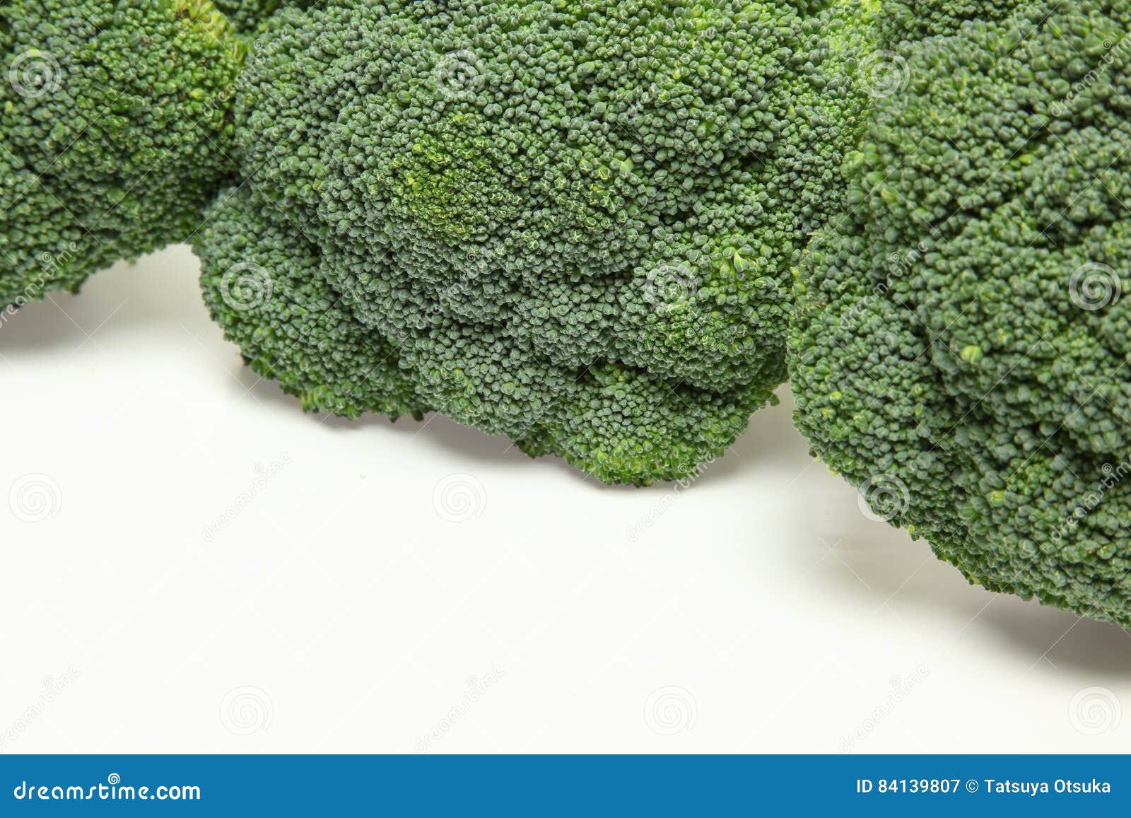 Broccoli in a White Background Stock Image - Image of broccoli, organic ...