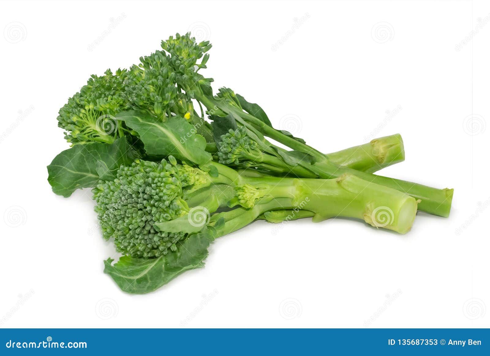 Broccoli on white stock image. Image of health, nutrition - 135687353