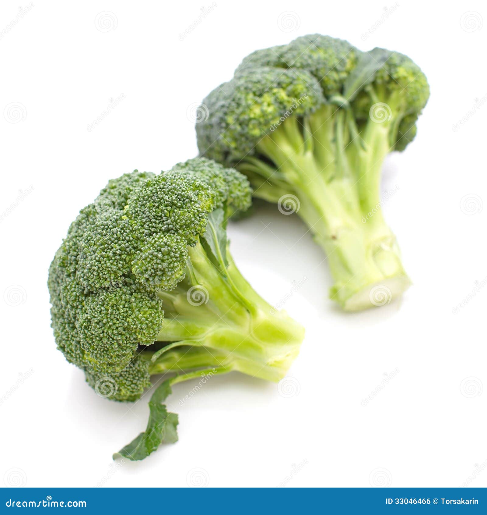 Broccoli on a white stock photo. Image of isolated, nature - 33046466