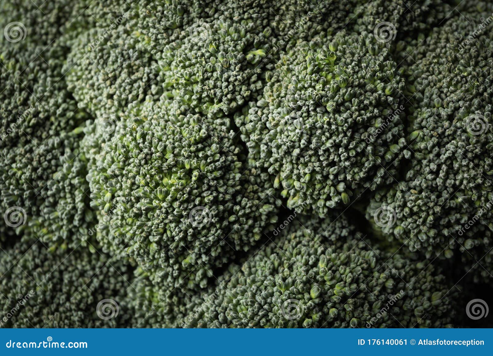 Broccoli on Whole Background. Fresh Vegetable Stock Image - Image of ...