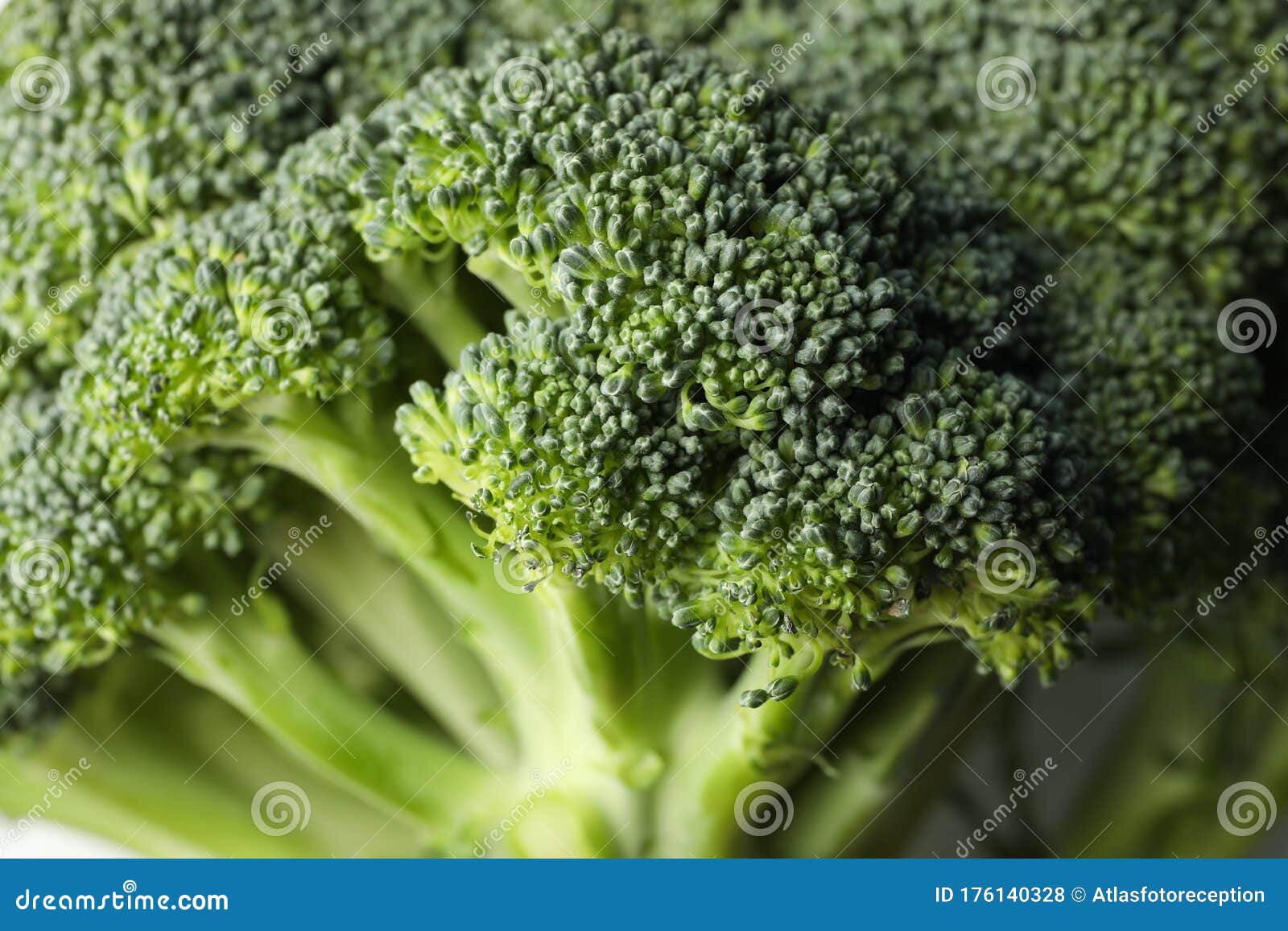 Broccoli on Whole Background, Macro. Fresh Stock Photo - Image of ...