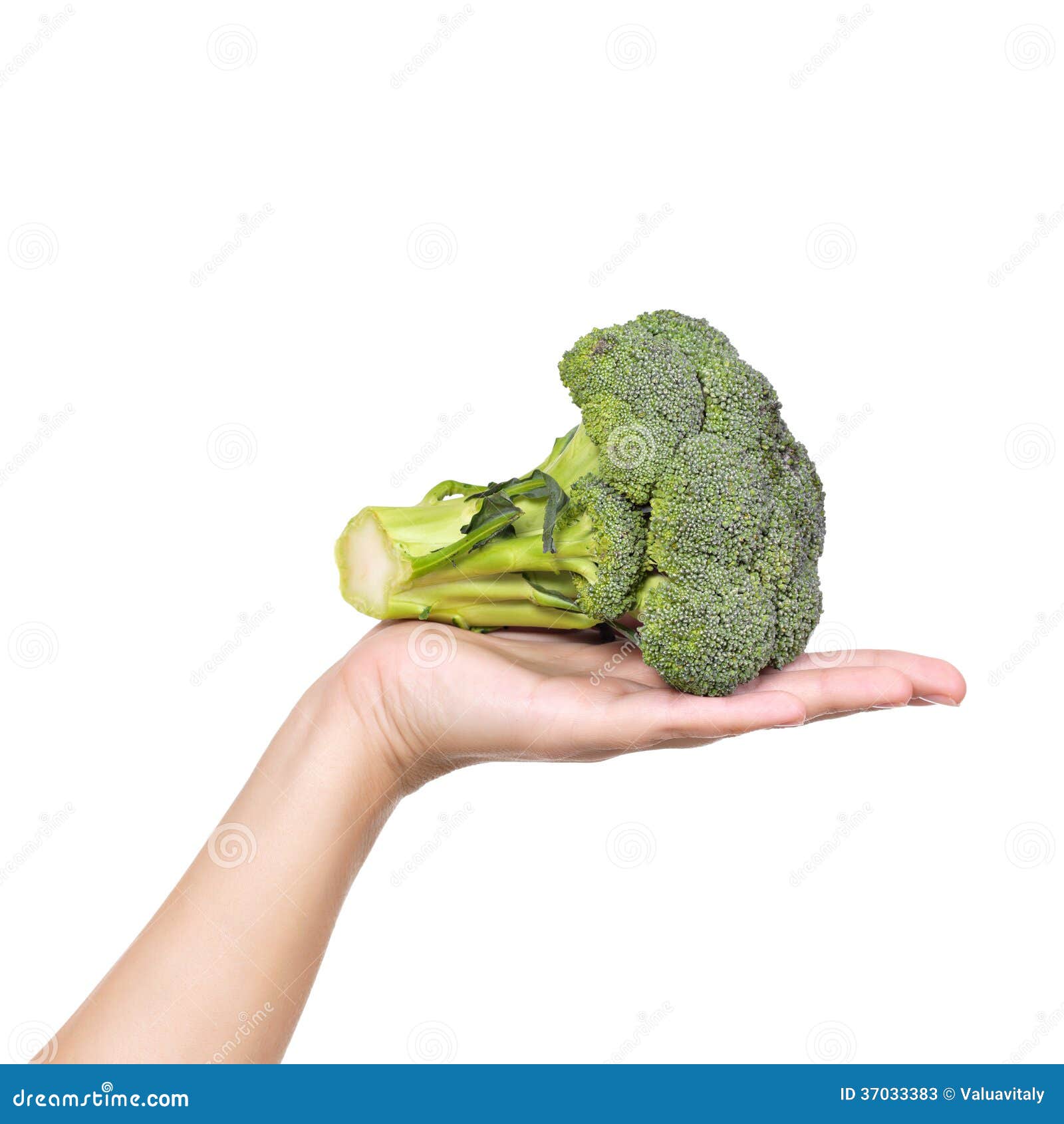 Broccoli in a Woman S Hand. Stock Image - Image of vegetable, fresh ...