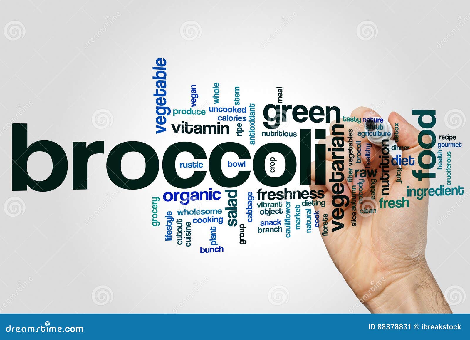 Broccoli word cloud stock image. Image of eating, freshness - 88378831